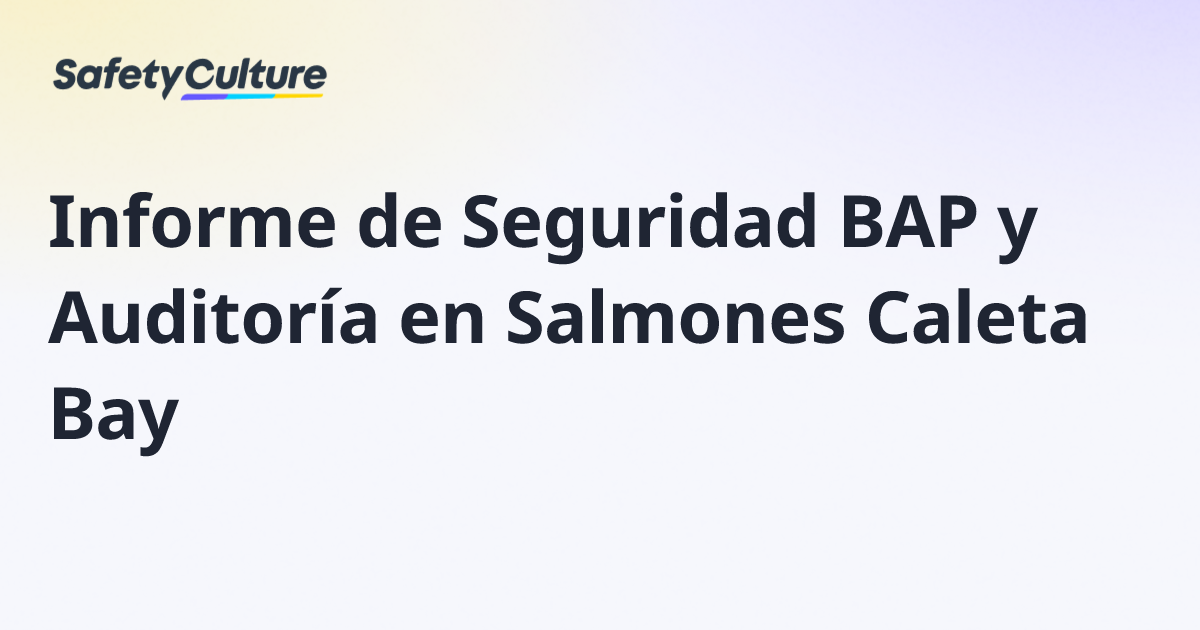 Informe de Seguridad BAP y Auditoría en Salmones Caleta Bay | Free Template